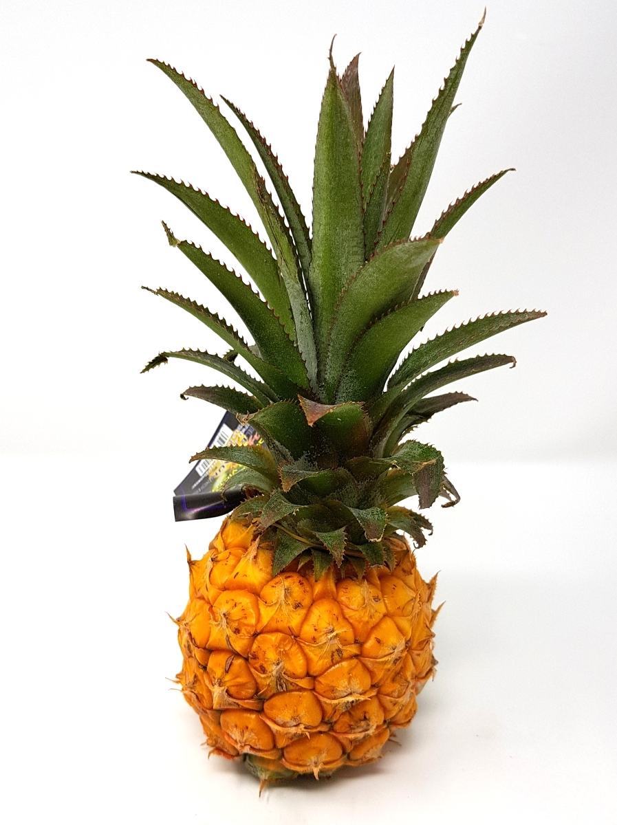 Wiesenland - Obst und Gemüse - Produktdetail Ananas Baby Premium MAU