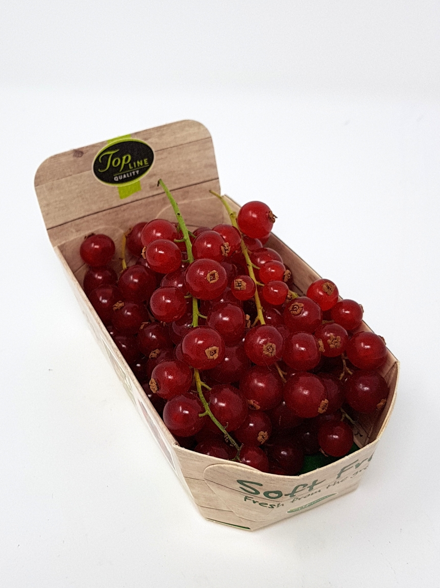 Wiesenland - Obst und Gemüse - Produktdetail Ribisel Rot NL( 125 gramm)